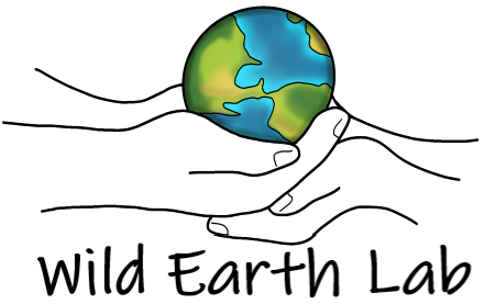 Environmental Science Education and Illustration