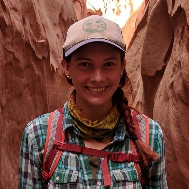 Wild Earth Lab - environmental science learning materials