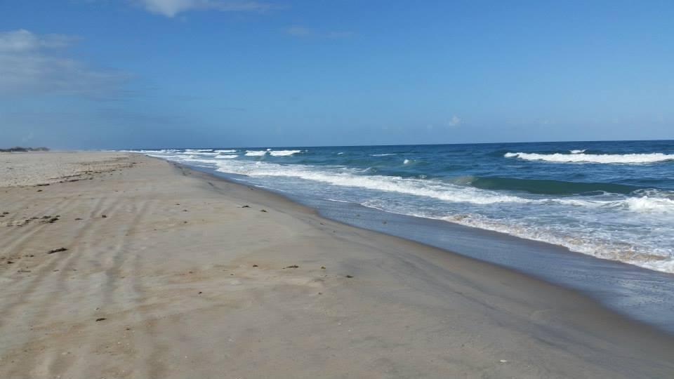 ocean-beach-daytime – Wild Earth Lab