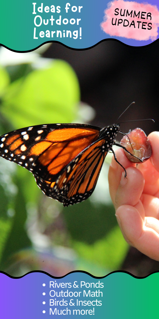 Wild Earth Lab Summer Newsletter - outdoor learning activities!